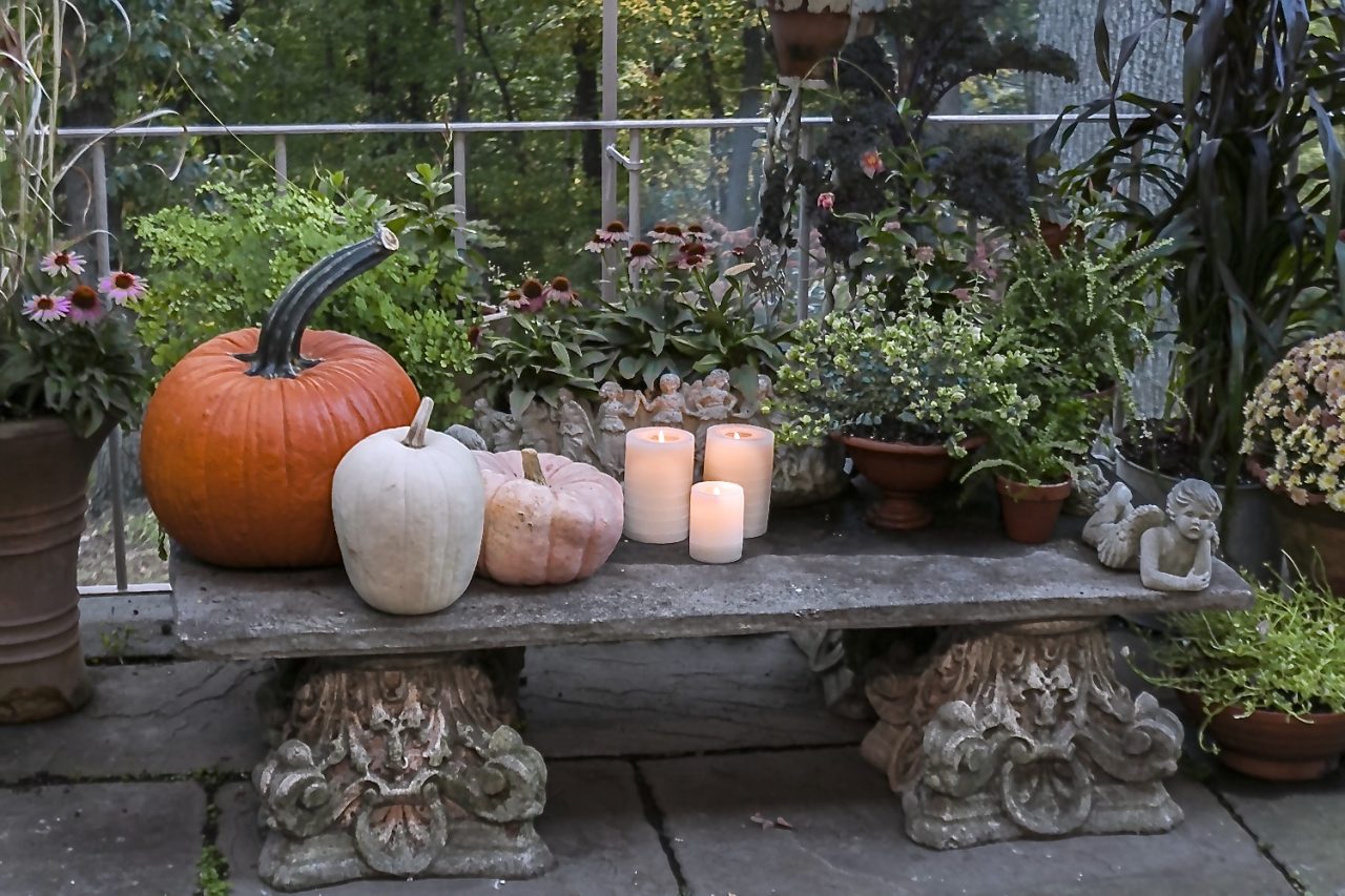 Autumn - Tallulah & Bird Design Inspiration - Tallulah & Bird Interior ...